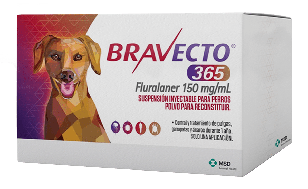 Bravecto® masticable. Fácil y duradero